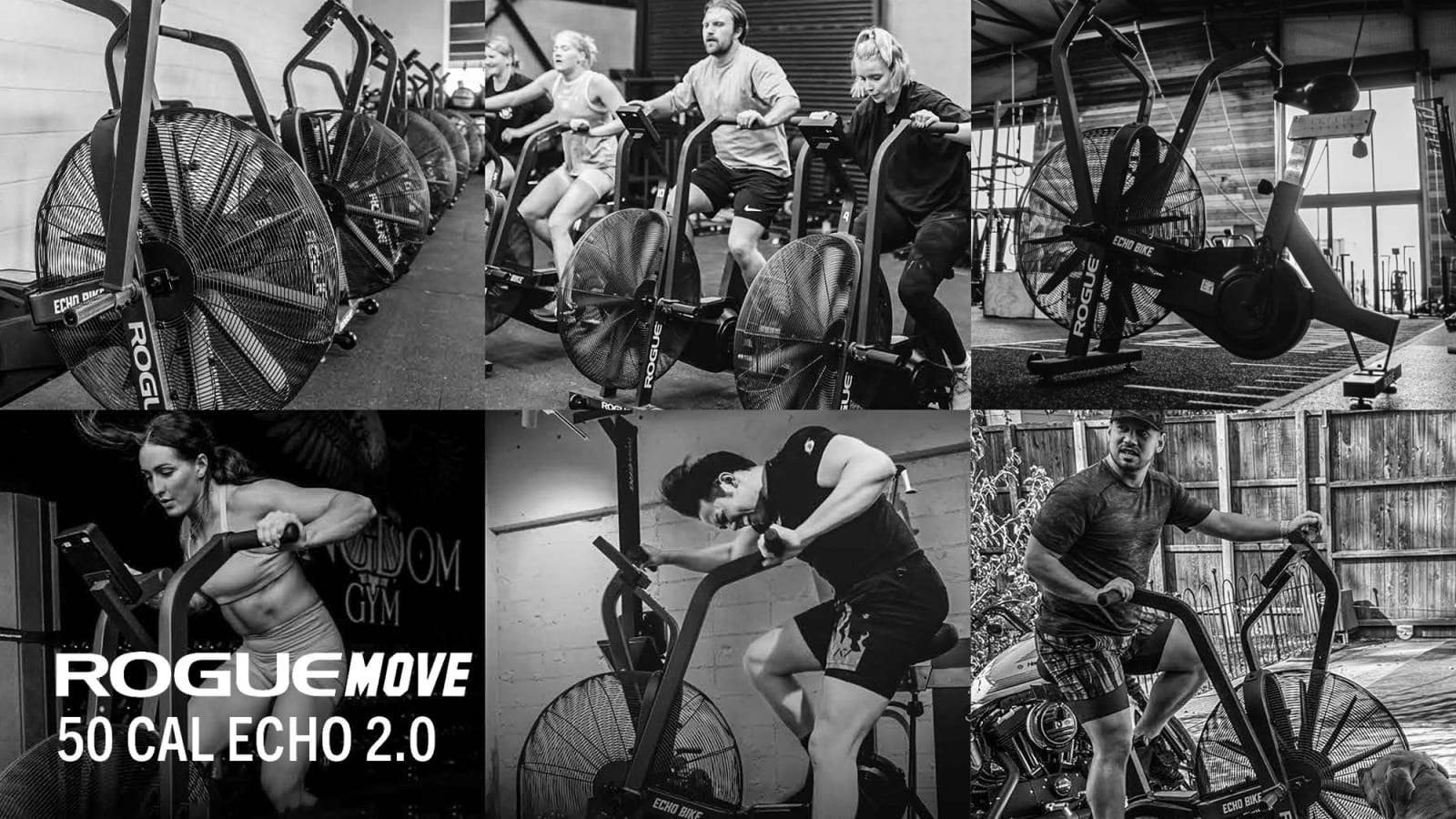 Rogue Move - 50 Cal Echo 2.0 (eBook) | Rogue Fitness FR
