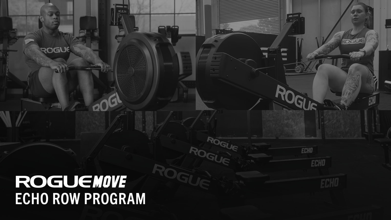 Rogue Move - Echo Row Program (eBook) | Rogue Fitness