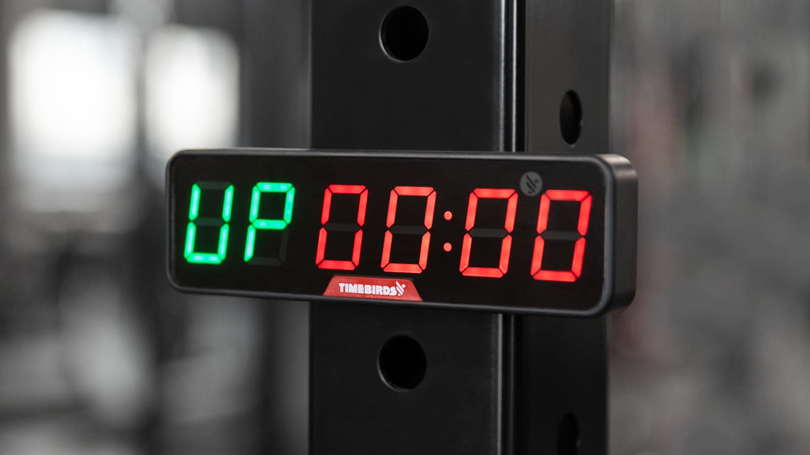 Timebirds Mini Timer | Rogue Fitness Canada