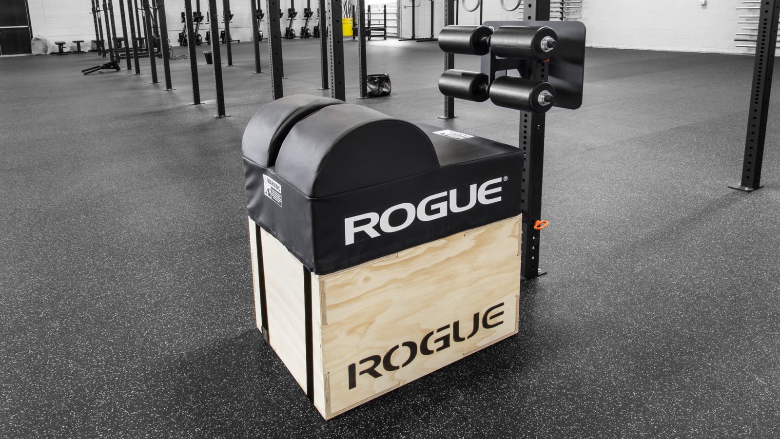 Echo GHD - Affordable Glute Ham Developer 3x3 | Rogue Fitness