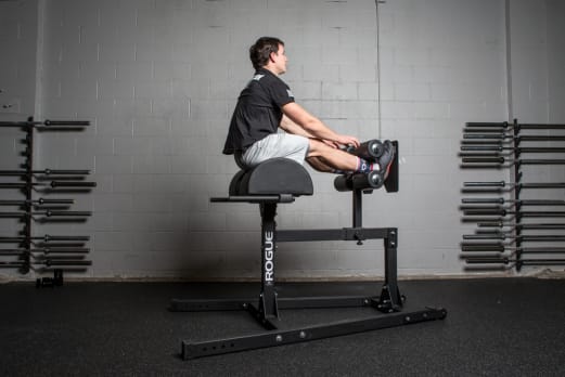 glute ham developer sit ups