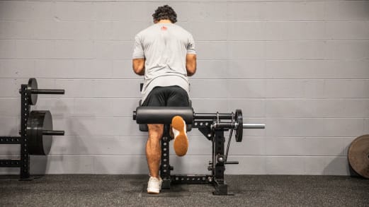 leg curl muscles hit